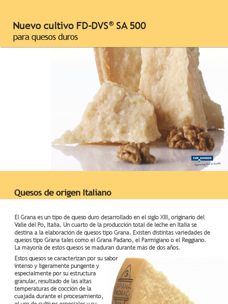 Nuevo cultivo liofilizado FD-DVS® SA 500 de Chr. Hansen para la ...