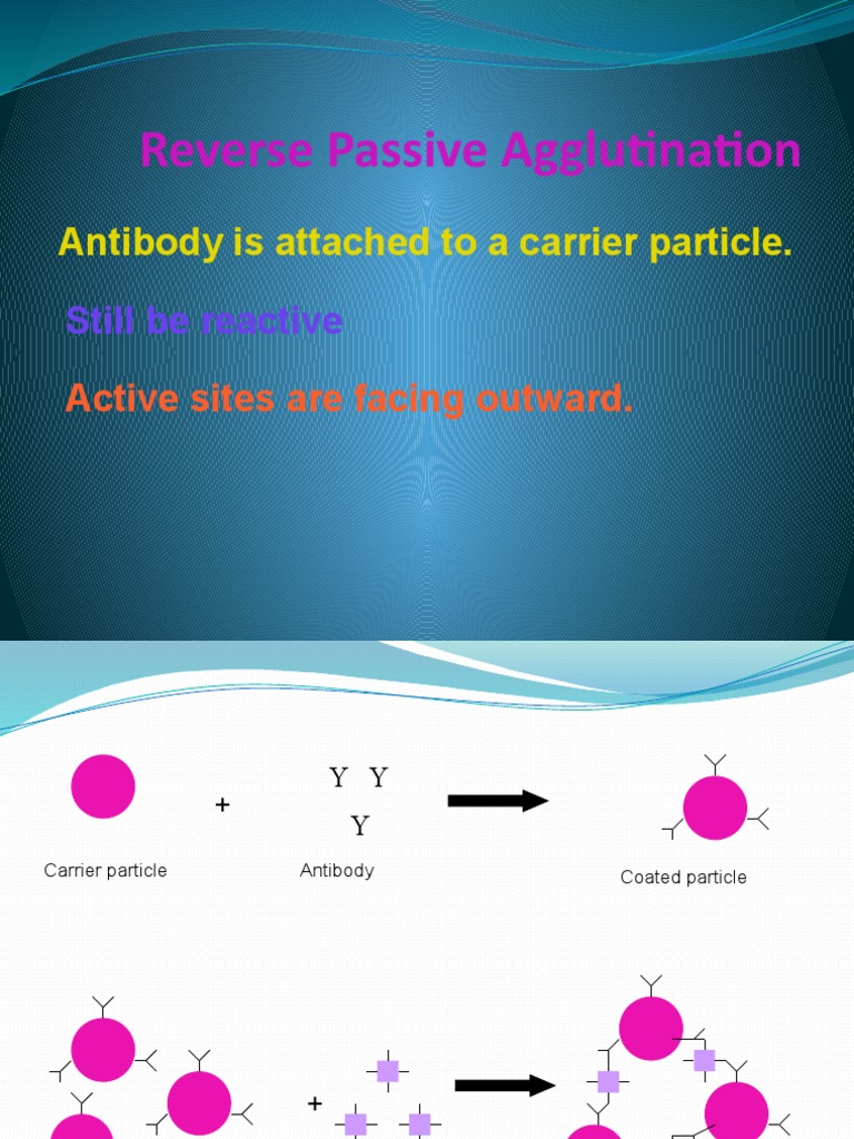 Reverse Passive Agglutination