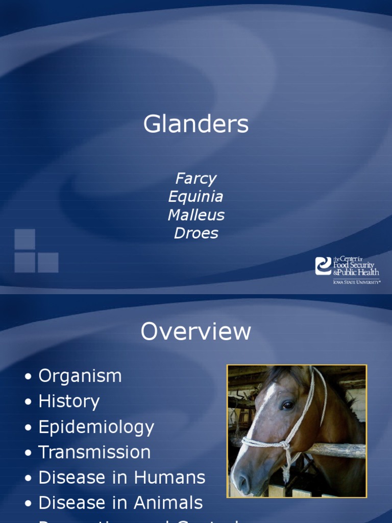 Glanders in Horse | Veterinary Medicine | Epidemiology