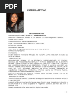 CURRICULUM VITAE BASICO Paola | PDF