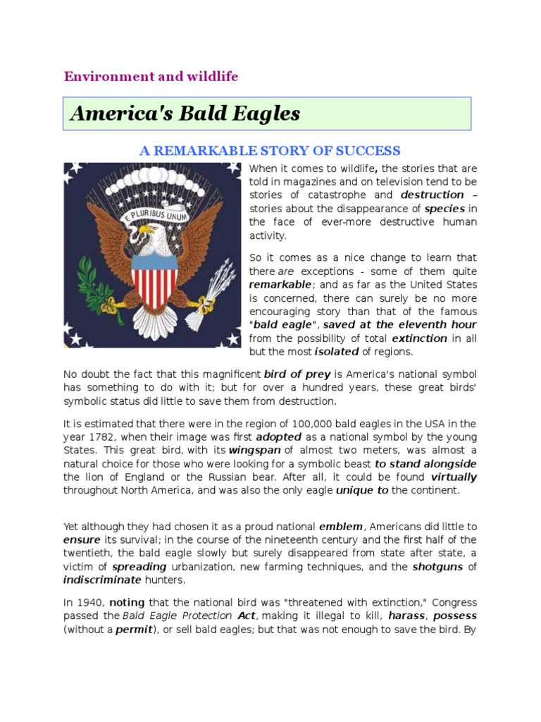 America's Bald Eagles | PDF | Bald Eagle | Birds