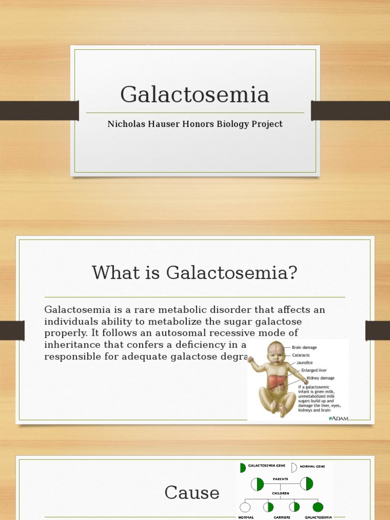 Galactosemia: Nicholas Hauser Honors Biology Project | PDF