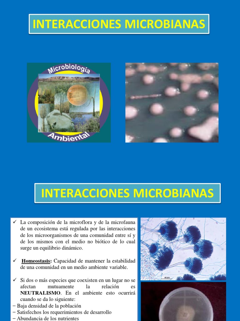 Clase 3. Interacciones Microbianas | PDF | Simbiosis | Hongo