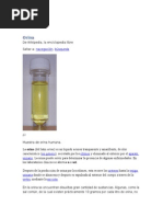 ESCALA DE ARMSTRONG (Todas Las Cat) | PDF