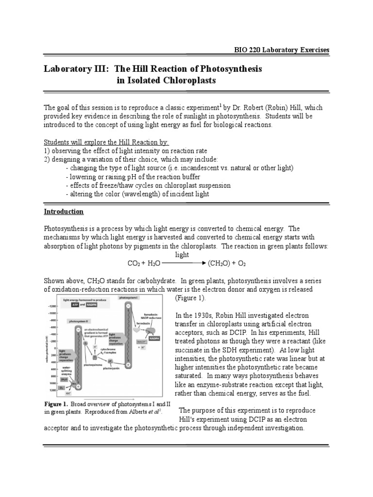 Hill Reaction2 | Photosynthesis | Chlorophyll