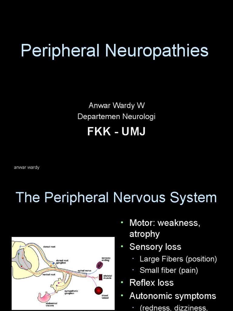 Peripheral Neuropathies Overview | PDF | Peripheral Neuropathy ...