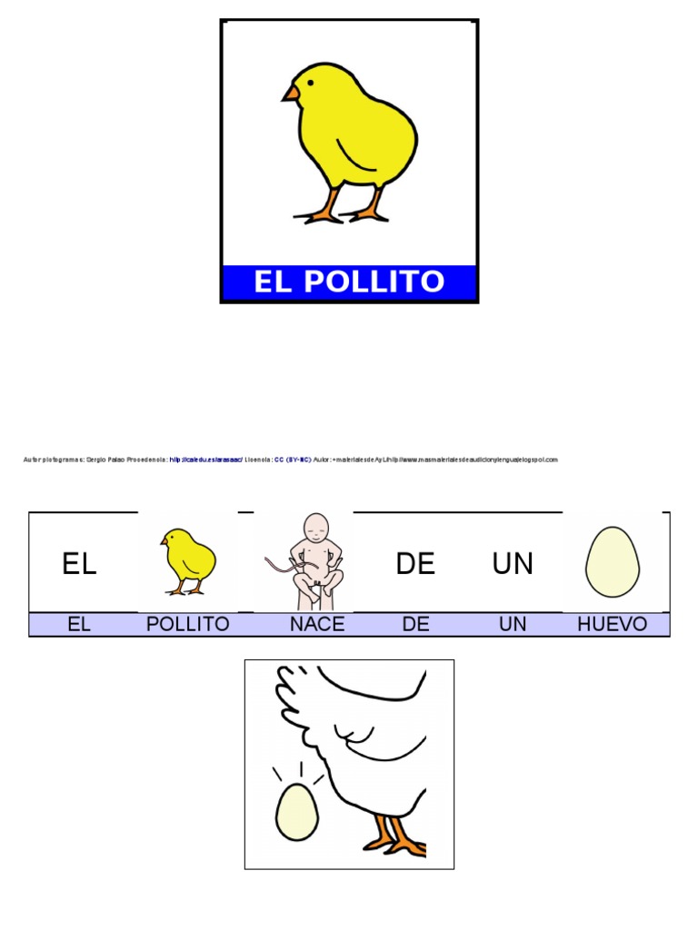 El Pollito: Nace y Crece | PDF