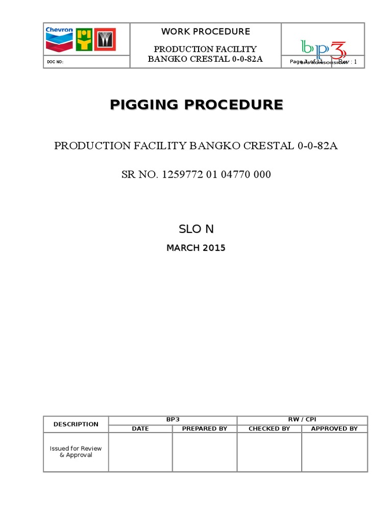Pigging Procedure | PDF | Pipeline Transport | Pipe (Fluid Conveyance)