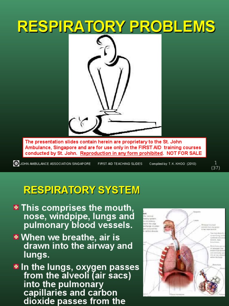 04 Respiratory Problems | PDF | Lung | Respiratory Tract