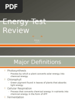 AP+Bio 013+Photosynthesis++Respiration+Worksheet WL | PDF | Cellular Respiration | Photosynthesis