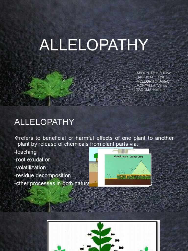 Allelopathy Ppt. Edited | PDF | Soil | Plants