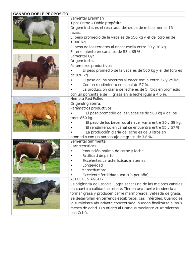 GANADO DOBLE PROPOSITO.docx | Vacas | Carne