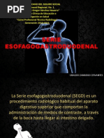 Niveles Axilares de Berg | PDF | Finanzas y dinero