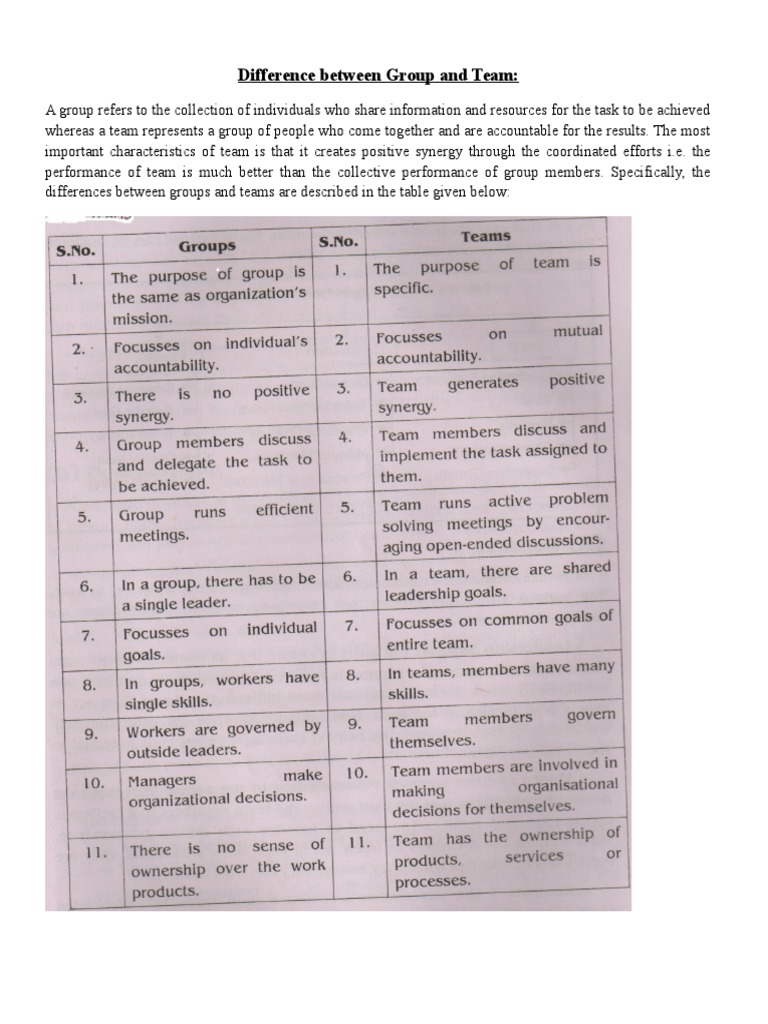 Group vs. Team: Key Differences | PDF | Business