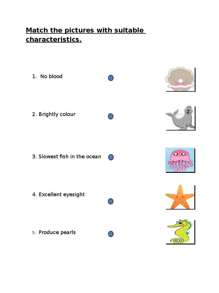 Characteristics of Unique Sea Creatures | PDF | Cooking, Food & Wine