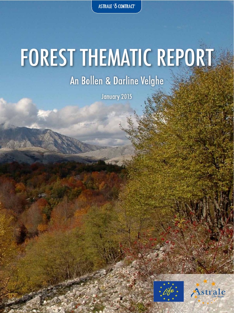 Forest Thematic Report | PDF | Reducing Emissions From Deforestation ...