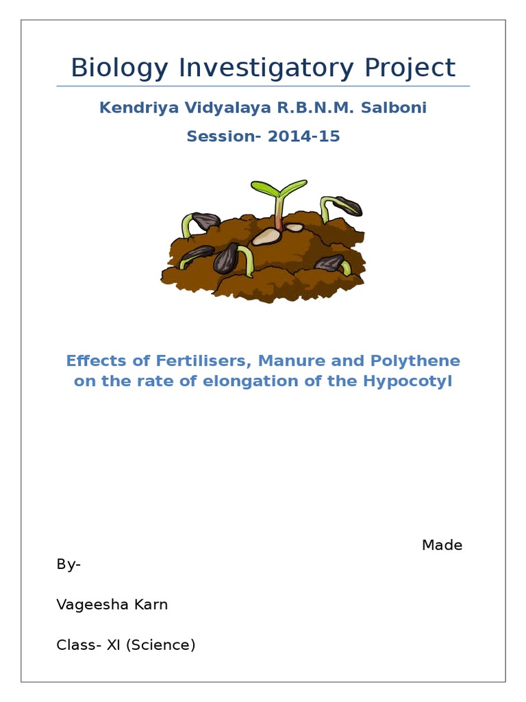 Effects of Fertilizers on Seed Growth | PDF | Fertilizer | Seed