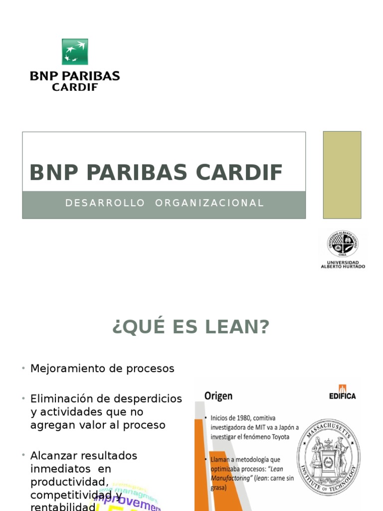 Cardif | PDF | Usuario (informática) | Información
