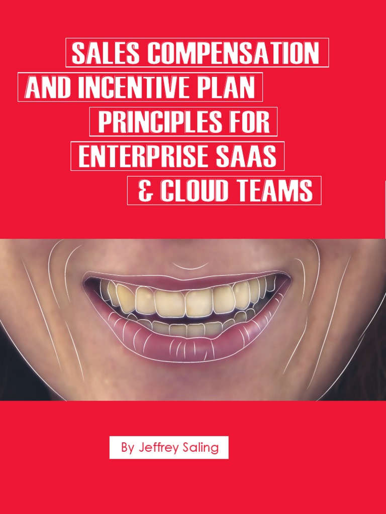 Sales Compensation and Incentive Plan Principles For Enterprise Saas ...