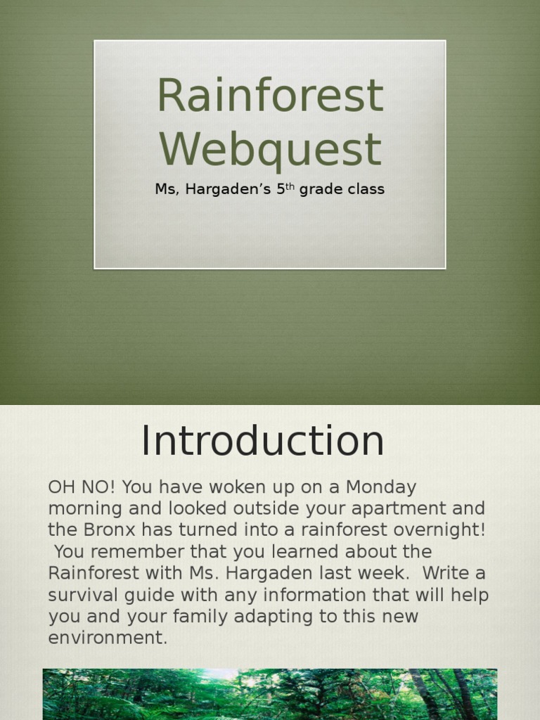 Rainforest Webquest: MS, Hargaden's 5 Grade Class | PDF | Wellness