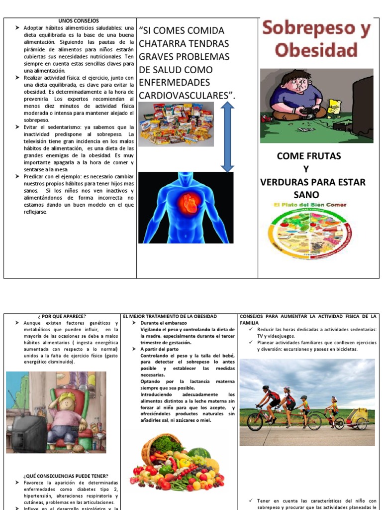 Triptico | PDF | Obesidad | Dieta