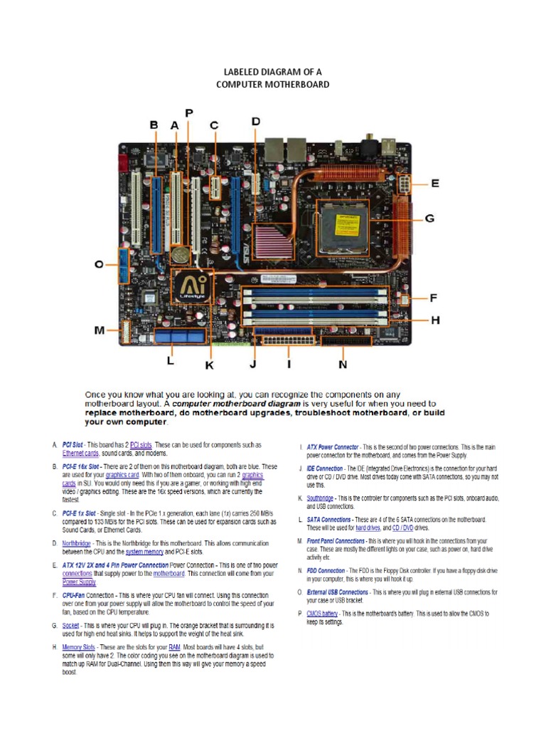 Labeled Diagram of A Computer Motherboard | PDF | Computers