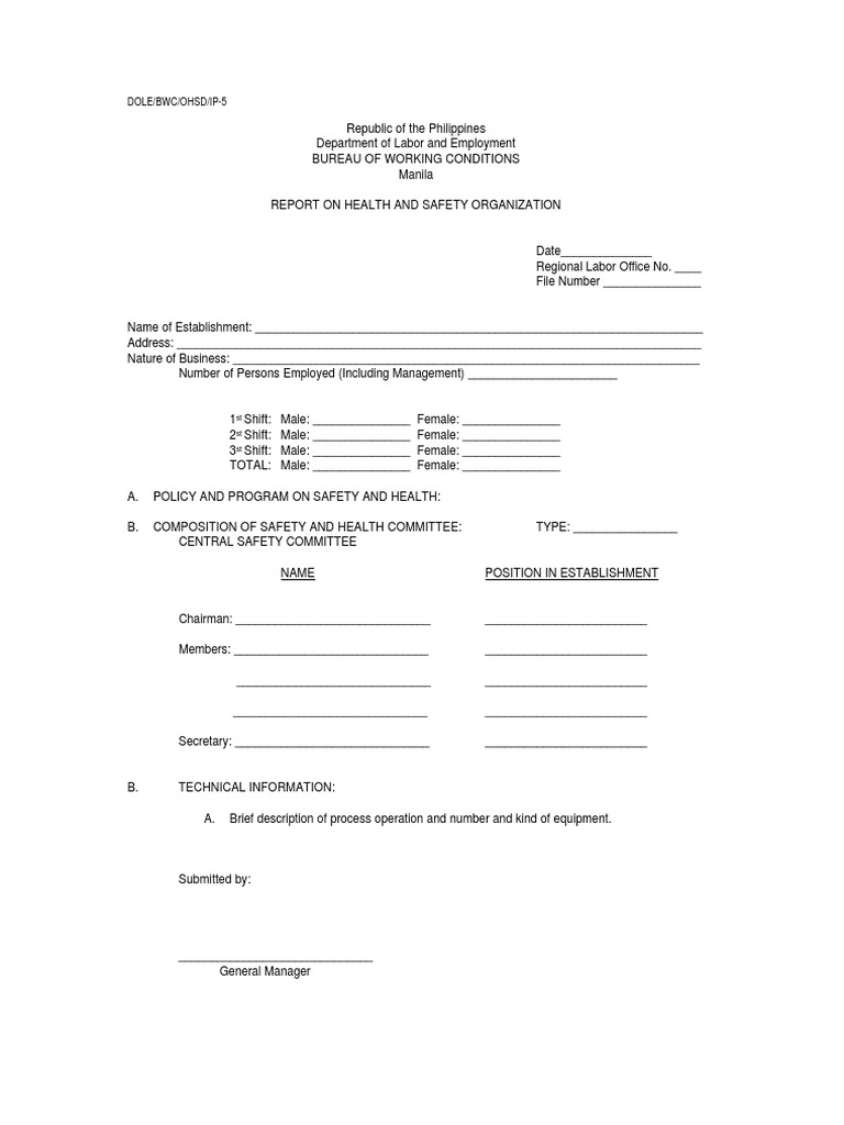 DOLE BWC OHSD IP 5 (Reprot On Health and Safety Organization) | PDF