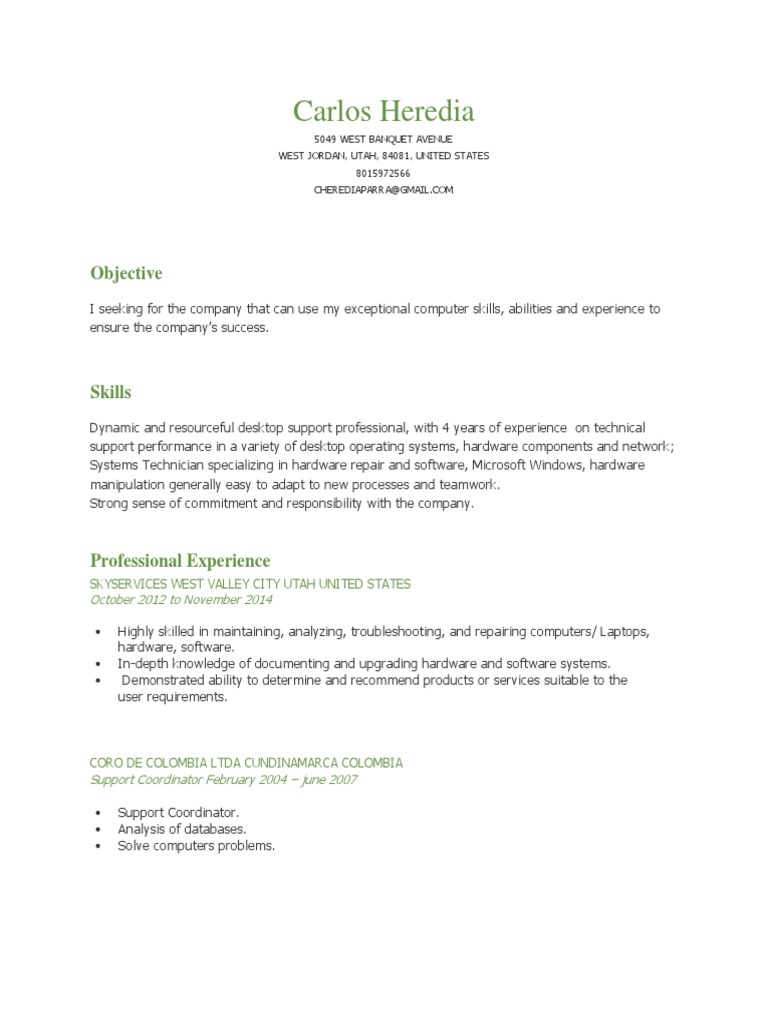 Resume Carlos Heredia Sy | PDF | Career & Growth