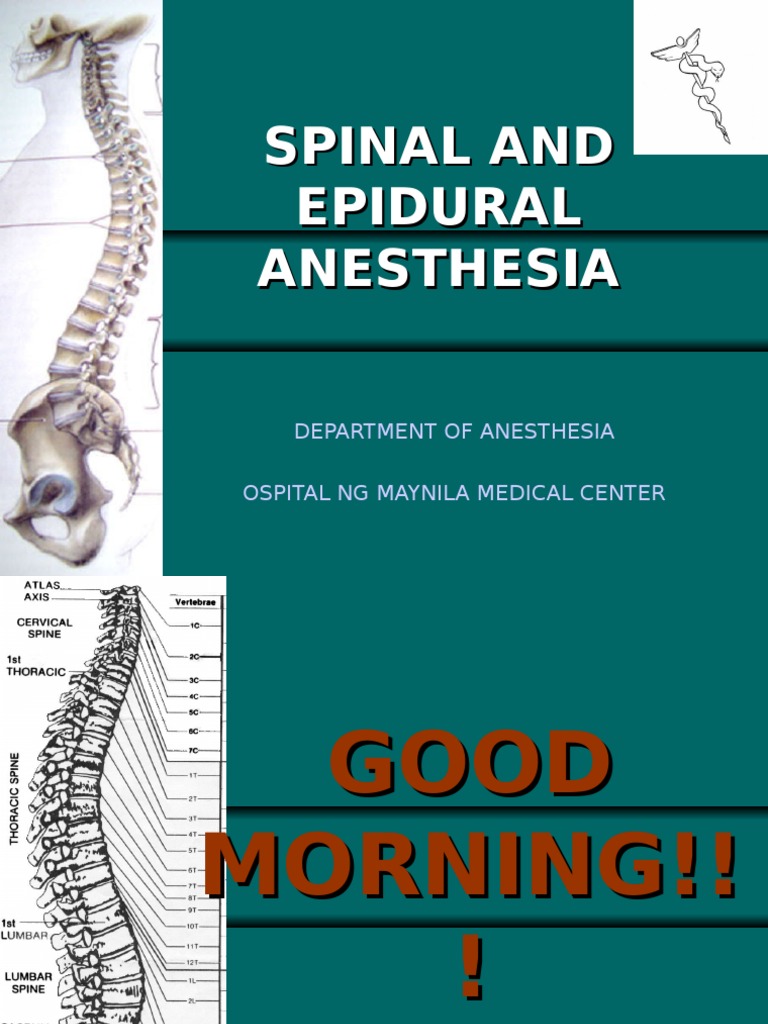 Epidural and Spinal Anesthesia | Vertebral Column | Vertebra
