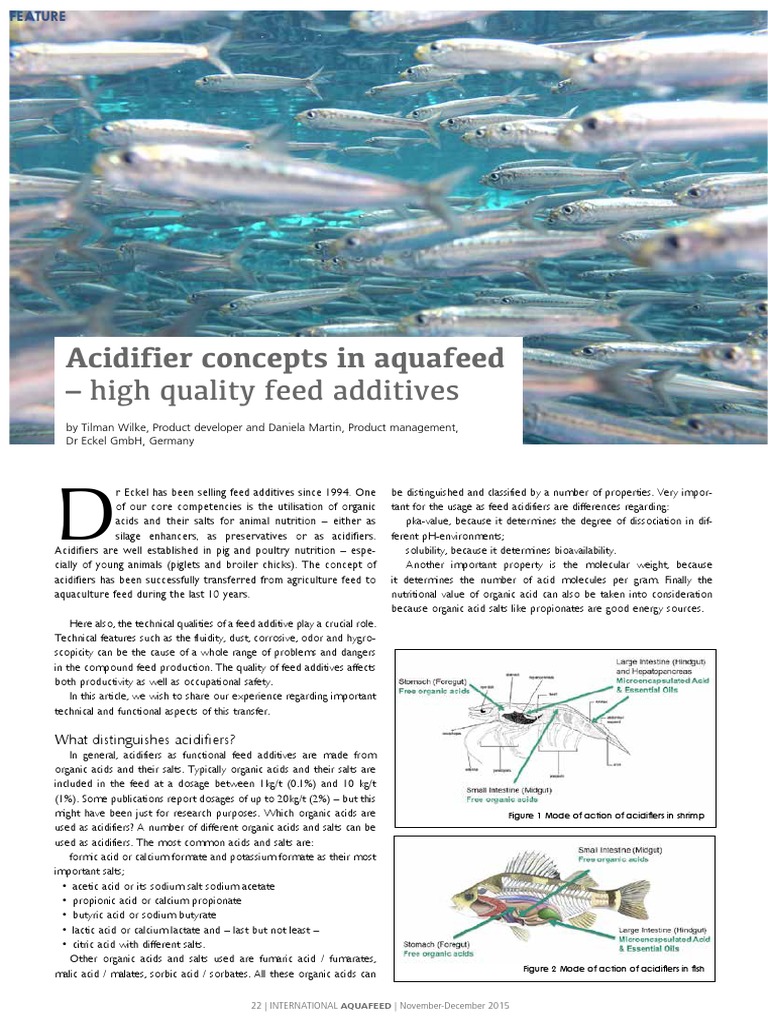 Acidifier concepts in aquafeed – high quality feed additives | Acid ...