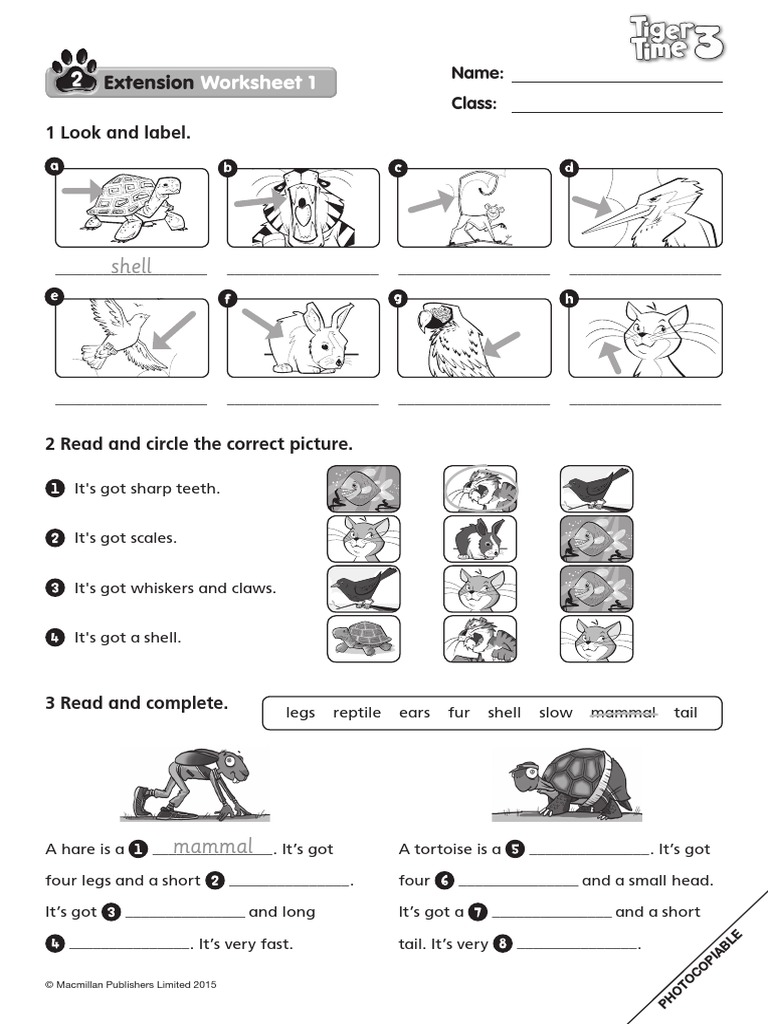 Tiger 3 Unit 4 Test Liveworksheets