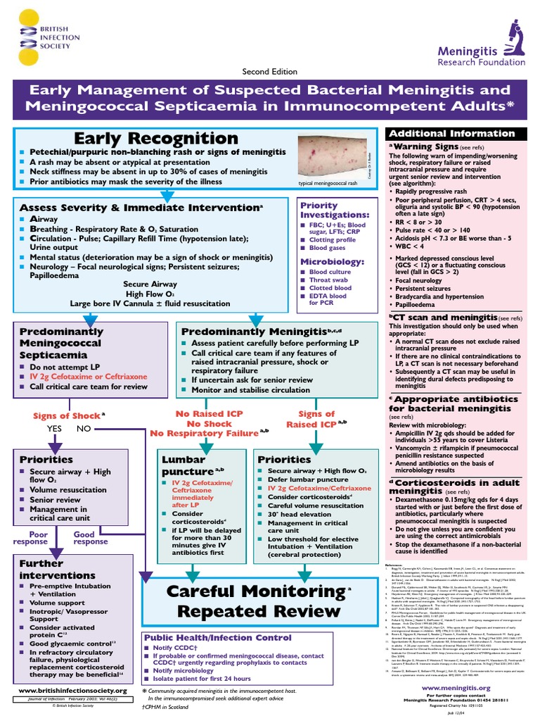 Management Adult Meningitis | Meningitis | Medical Specialties