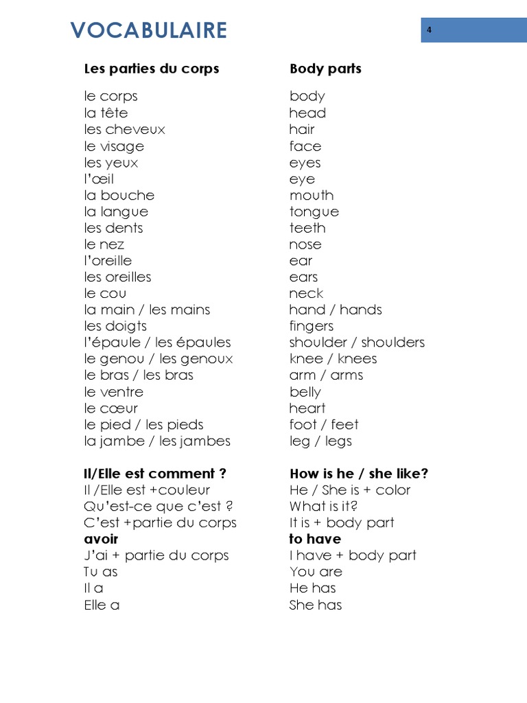 Vocabulaire des parties du corps en français | PDF