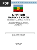 Características y Ubicación de Los Mapuche | PDF | Chile