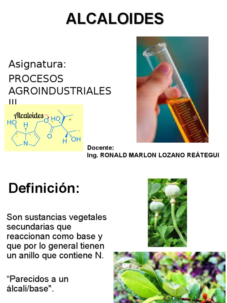 Clase1 Alcaloides | PDF | Alcaloide | Plantas