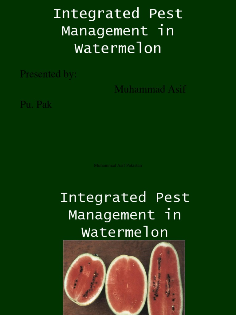 Integrated Pest Management in Watermelon | PDF | Watermelon | Weed
