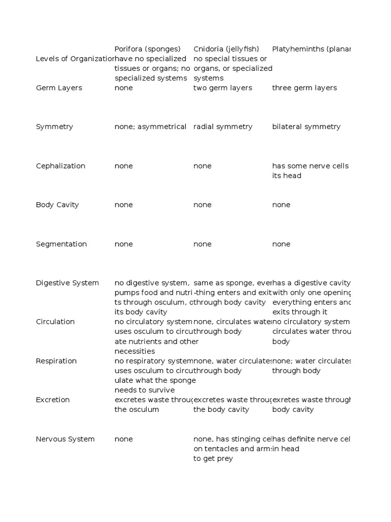 Comparison of Major Animal Phyla | PDF | Sponge | Circulatory System