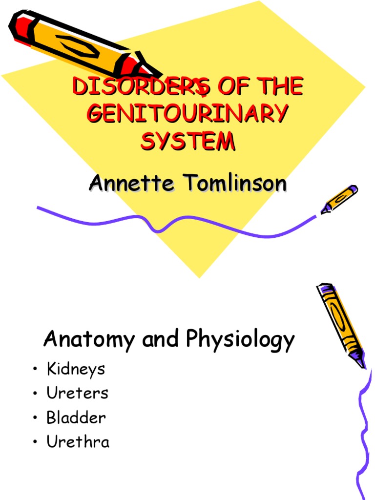 Disorders of The Genitourinary System | PDF | Urinary Tract Infection ...