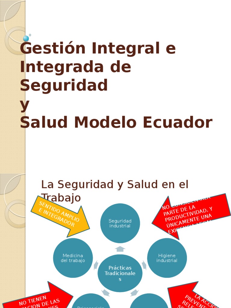 Modelo Ecuador | PDF | La seguridad | Evaluación