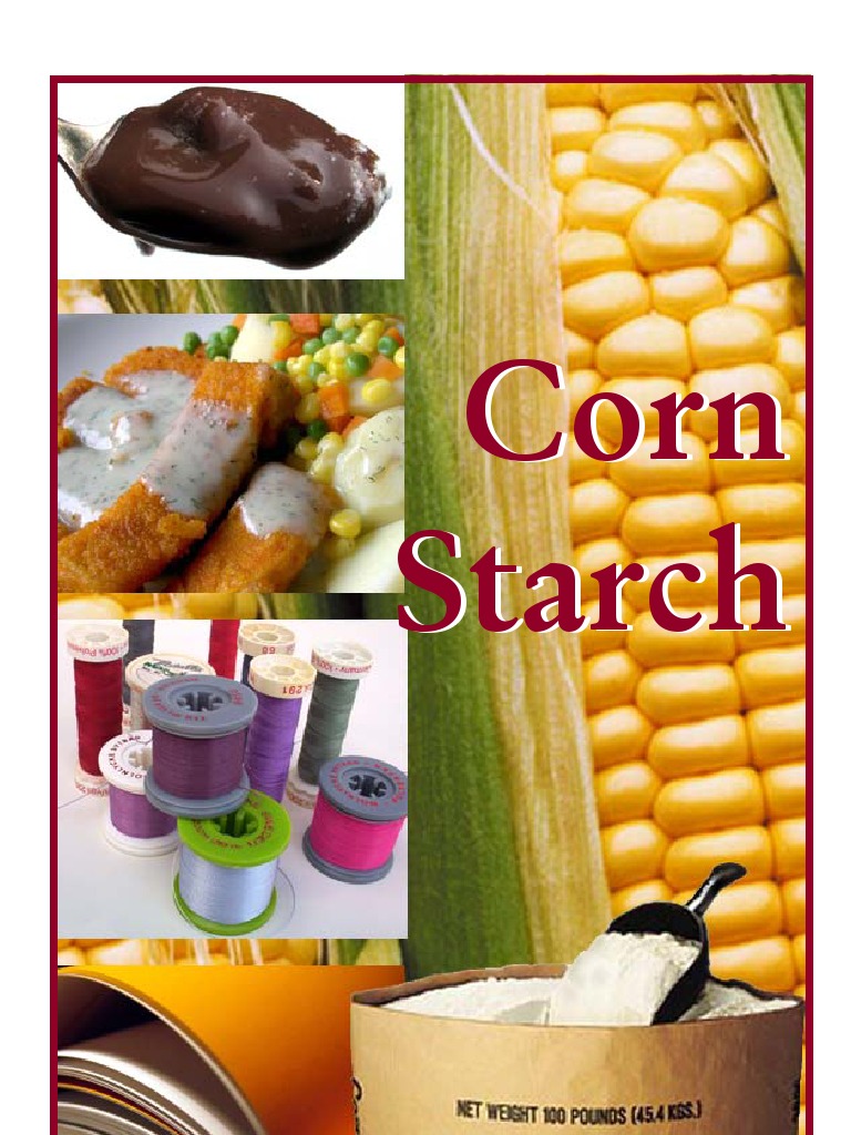 Starch 2006 | PDF | Starch | Food Ingredients