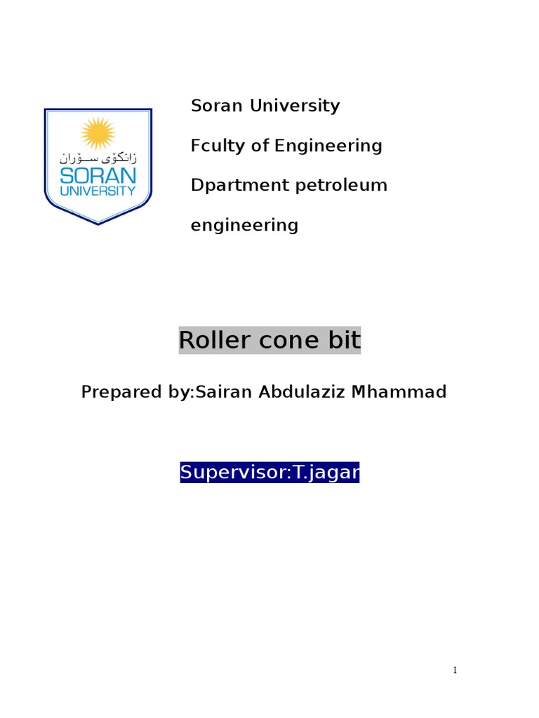Soran University 1 | Bearing (Mechanical) | Mechanical Engineering