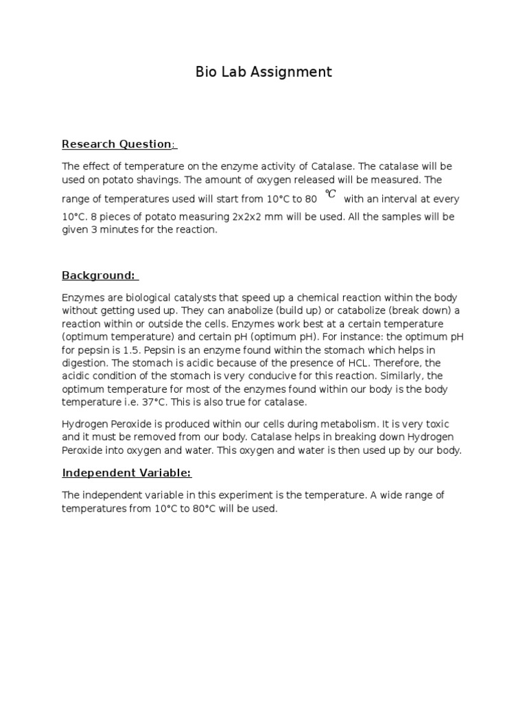 Sample Biology Lab For IB | PDF | Catalase | Active Site