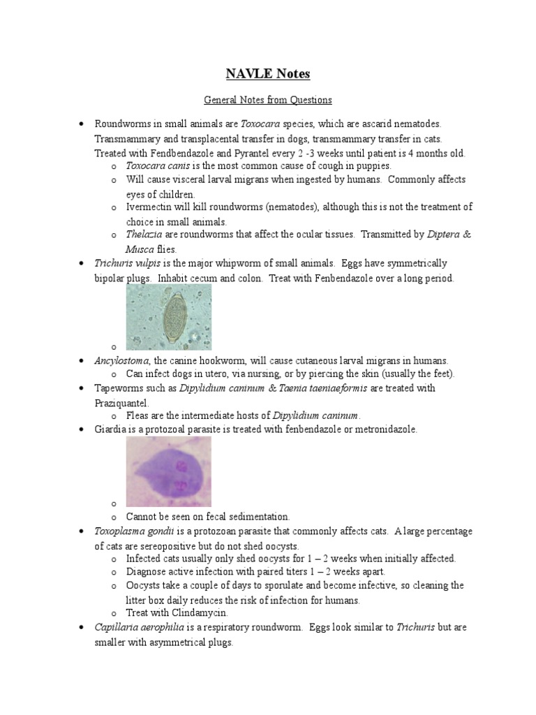 Navle Notes | PDF | Glaucoma | Diabetes Mellitus