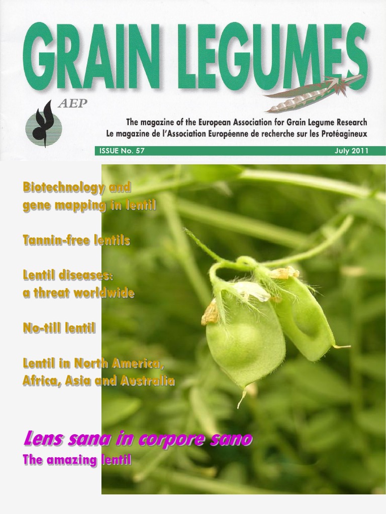 Grain Legumes 57 Lentils | PDF | Hybrid (Biology) | Plant Breeding