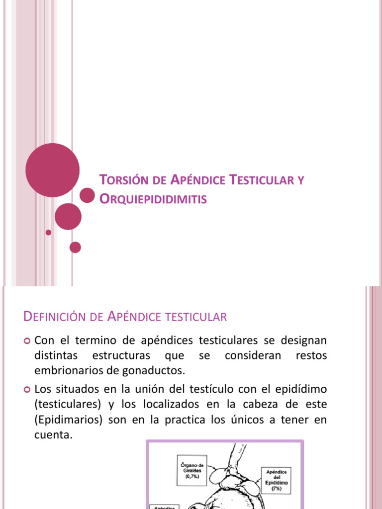Torsión de Apéndice Testicular y Orquidoepidemitis | PDF | Tuberculosis ...