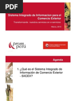 Qué es SIICEX y su función en Perú | PDF