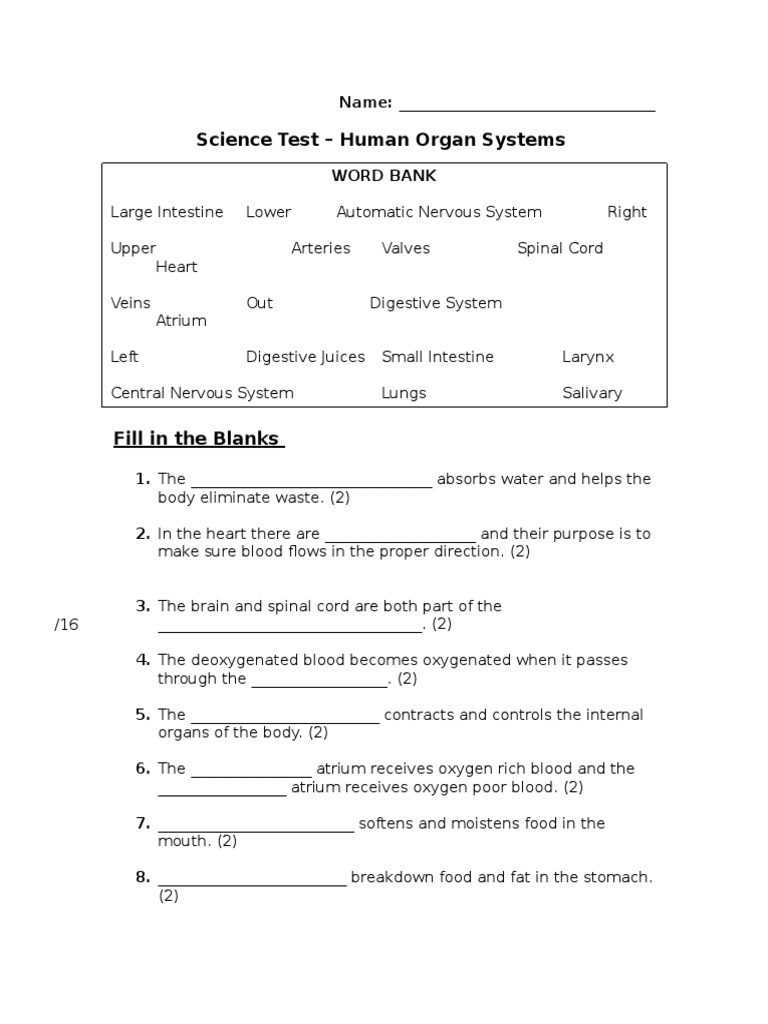 Science Test - Human Organ Systems | PDF
