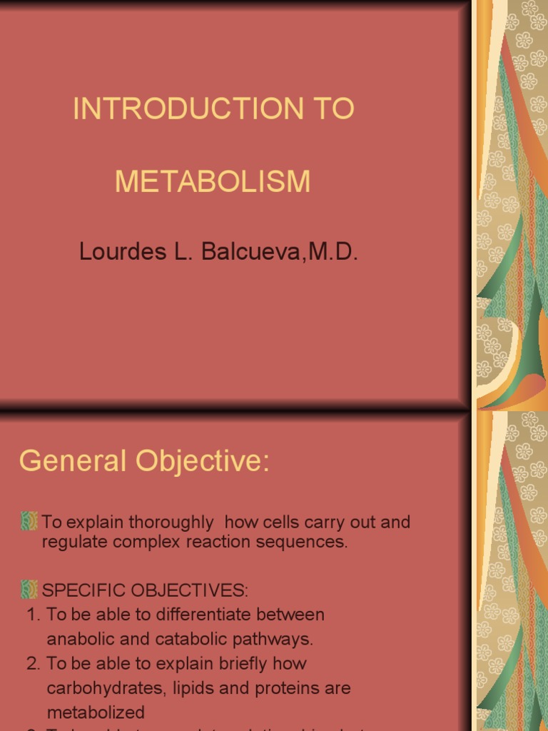 Introduction To Metabolism | PDF | Metabolic Pathway | Metabolism