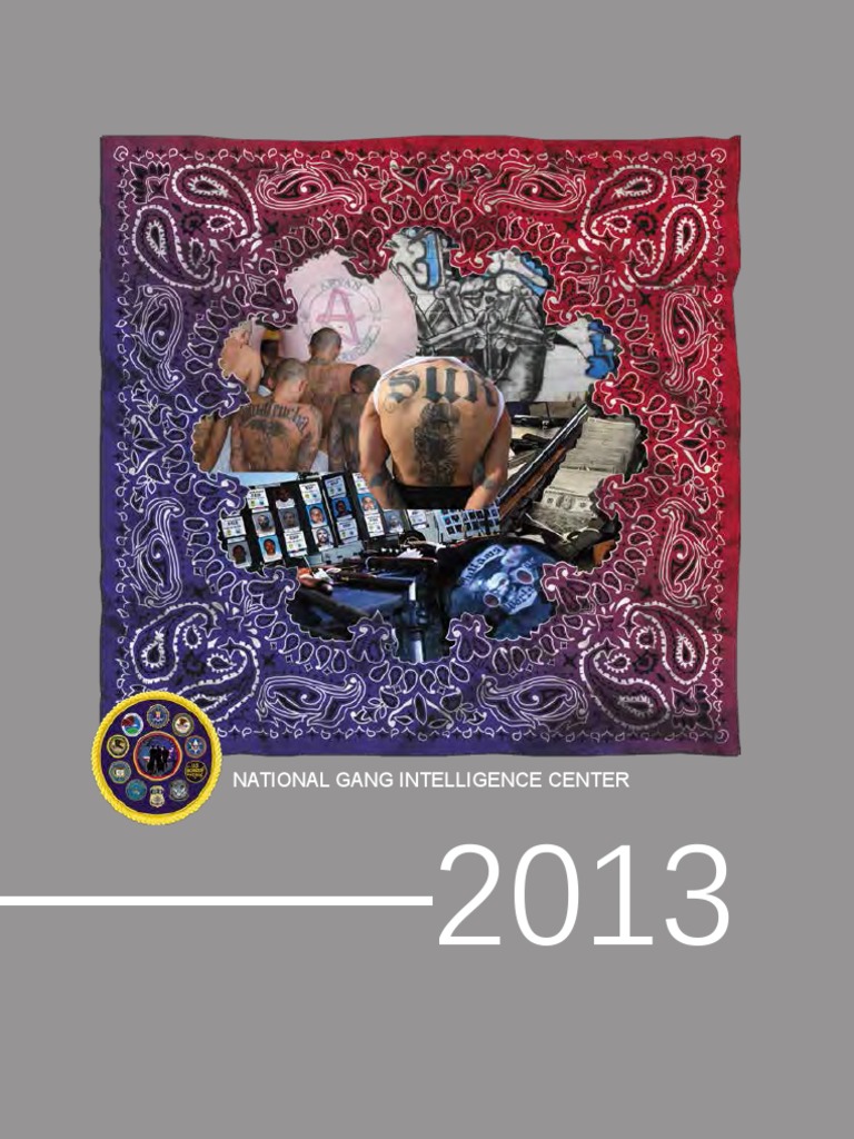 2013 NGIC Gang Report | PDF | Gang | Organized Crime