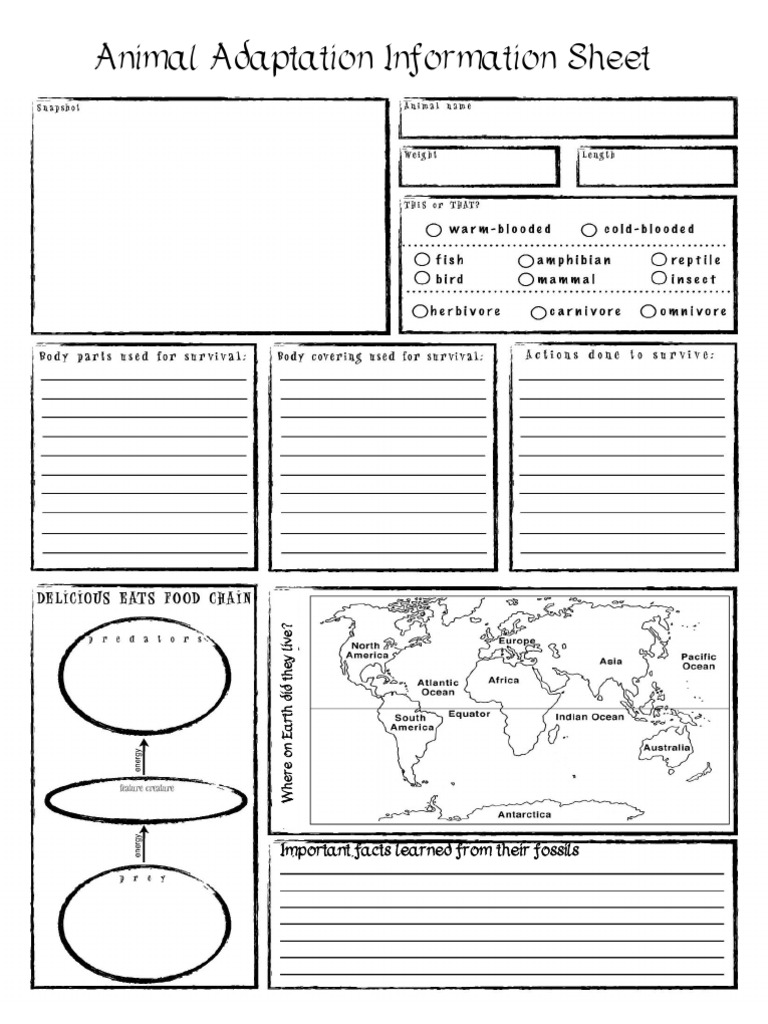 Animal Adaptations Template | PDF